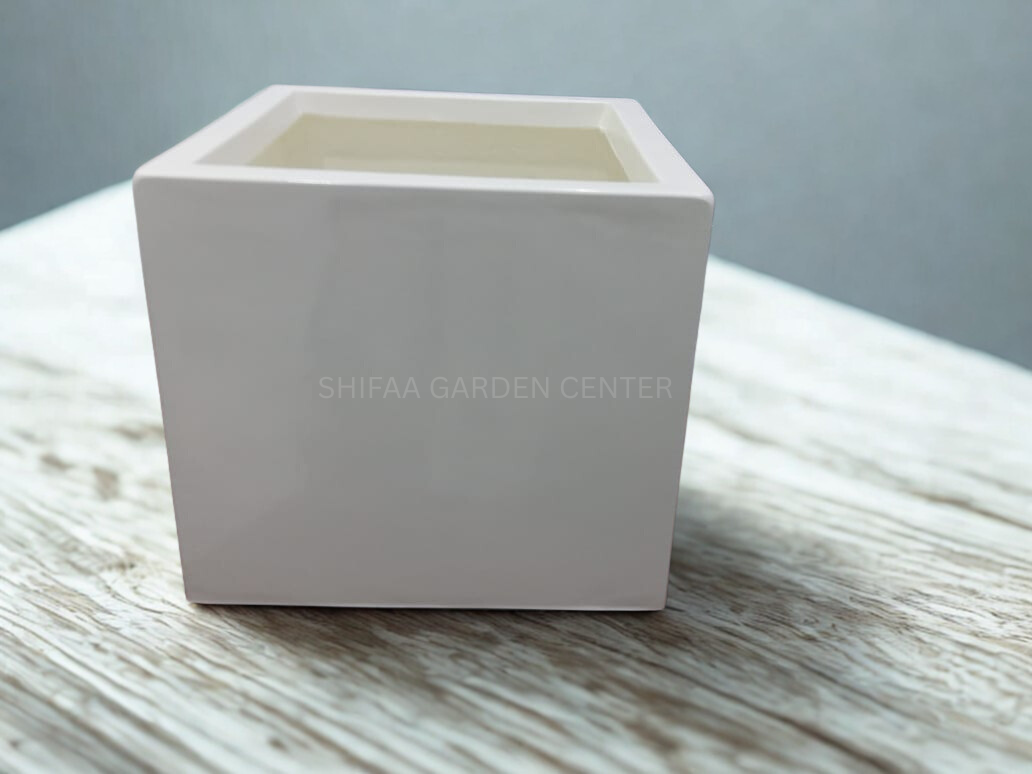 Pots Collection – Page 2 – SHIFAA GARDEN CENTER